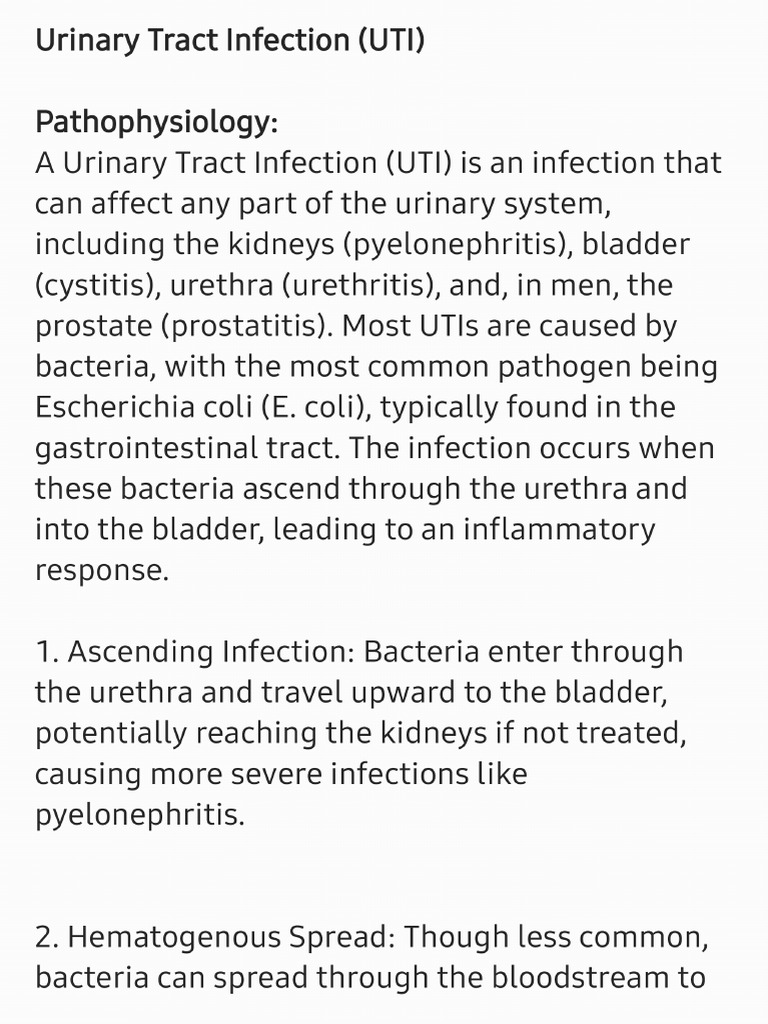 Urinary Tract Infection (UTI) - 250116 - 115730 | PDF