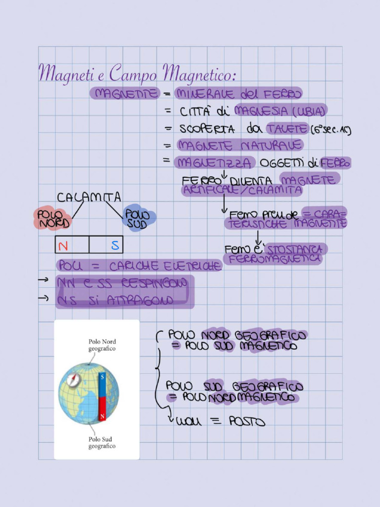 Campo Magnetico | PDF