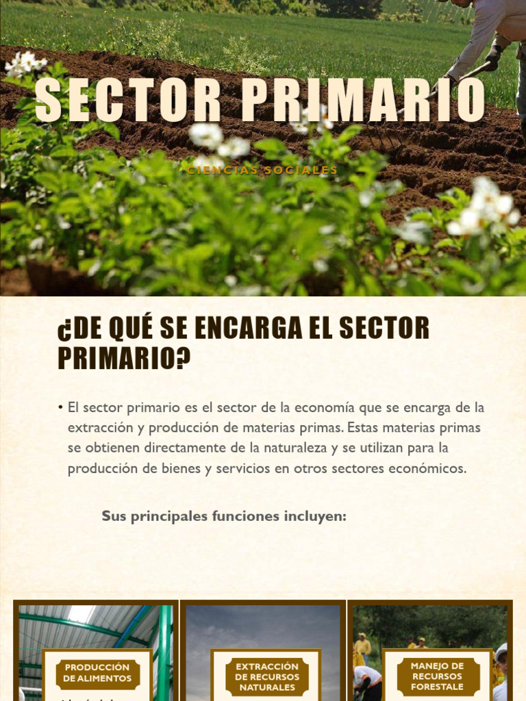 Importancia del Sector Primario en la Economía | PDF