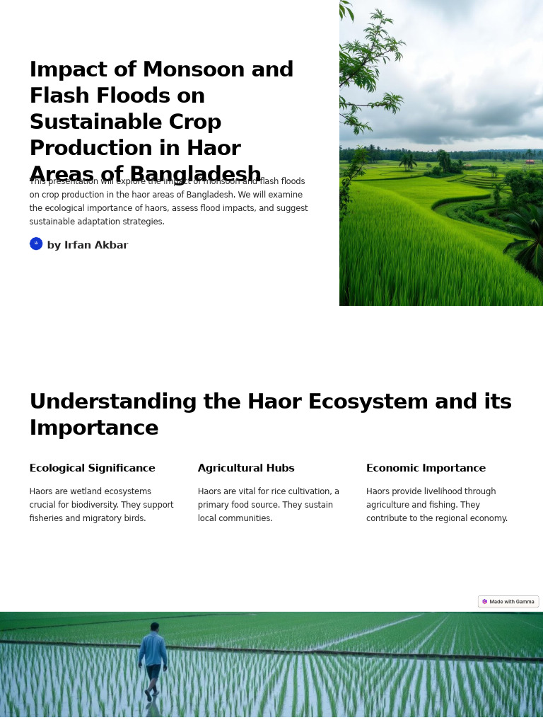 Monsoon Floods' Impact on Bangladesh Crops | PDF | Flood | Agriculture