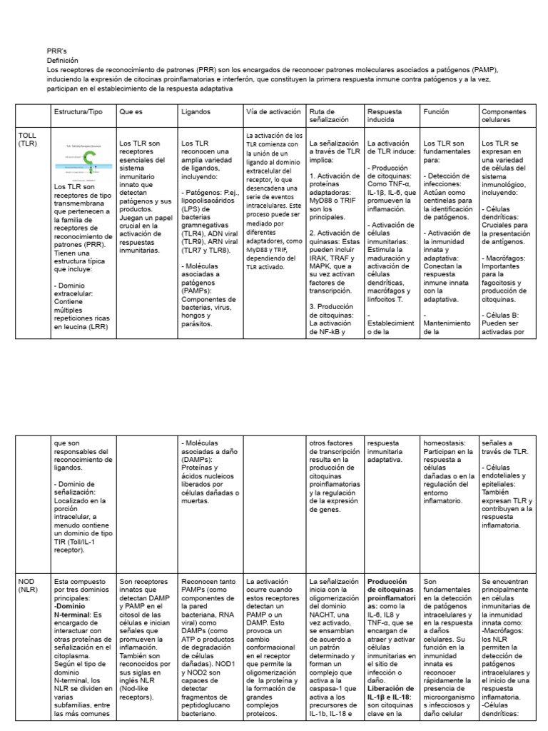 PRR’s | PDF | Sistema inmune | Receptor de peaje