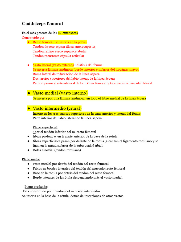 Anatomía y Función del Cuádriceps Femoral | PDF | Articulaciones ...