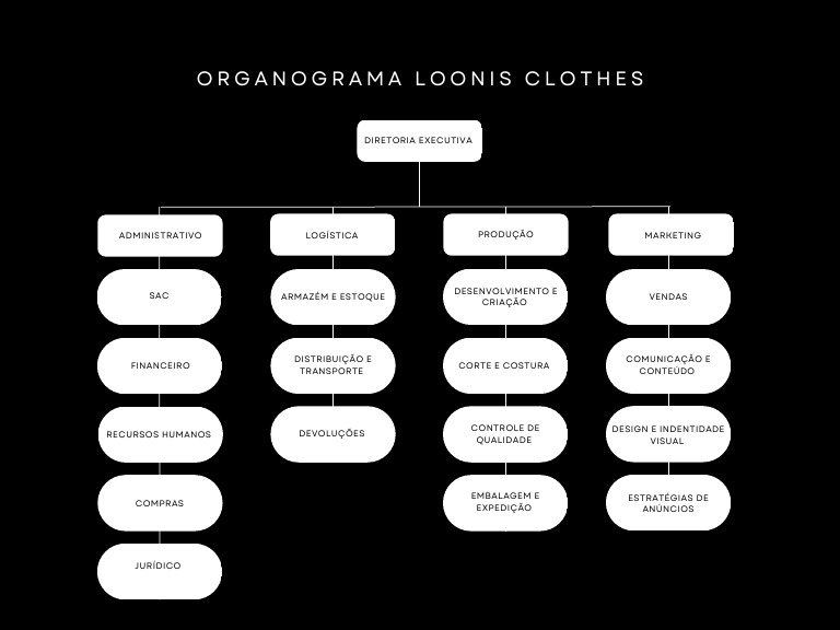 Organograma Loonis Clothes - 20250228 - 201239 - 0000 | PDF
