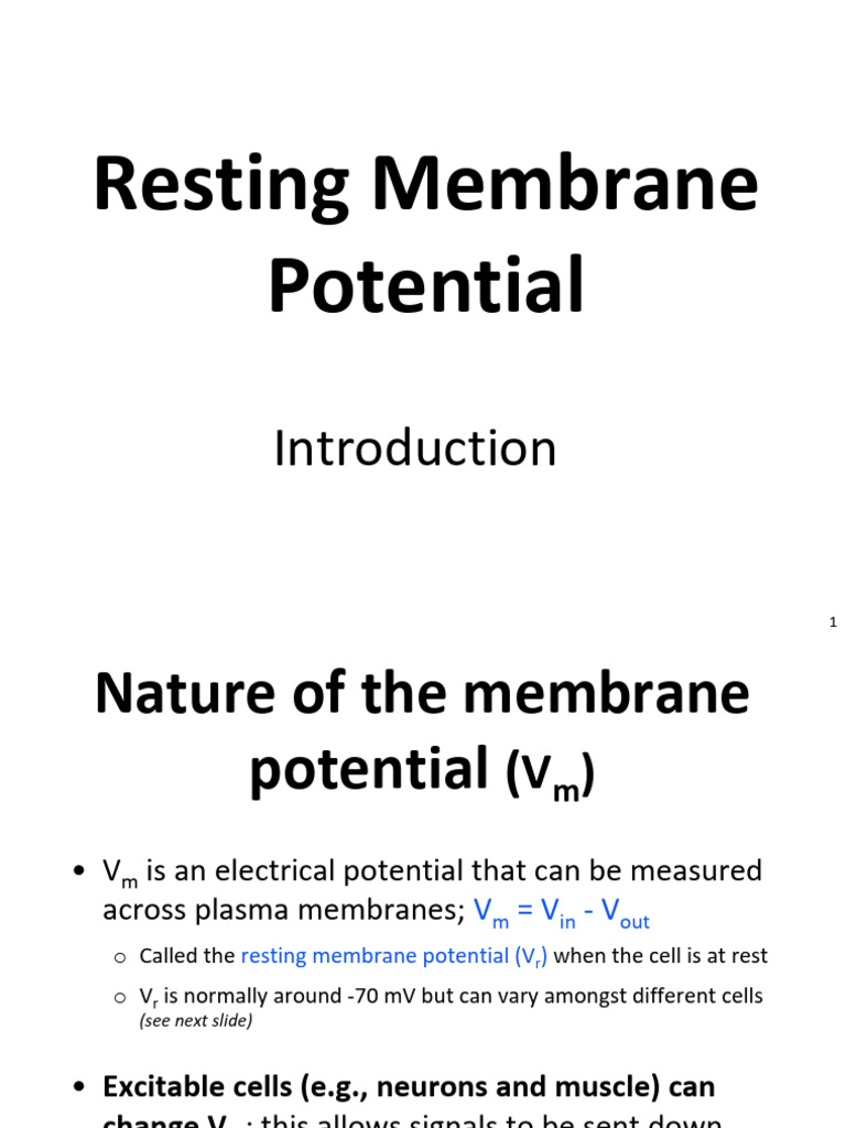 Understanding Resting Membrane Potential | PDF | Membrane Potential ...