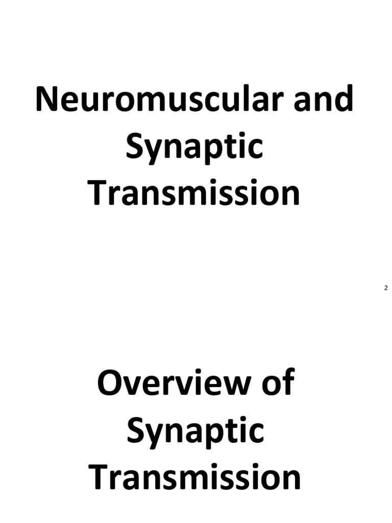 Synaptic Transmission Overview | PDF | Excitatory Postsynaptic ...