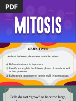 Mitosis in Human Skin Cells Study | PDF | Mitosis | Cell Biology