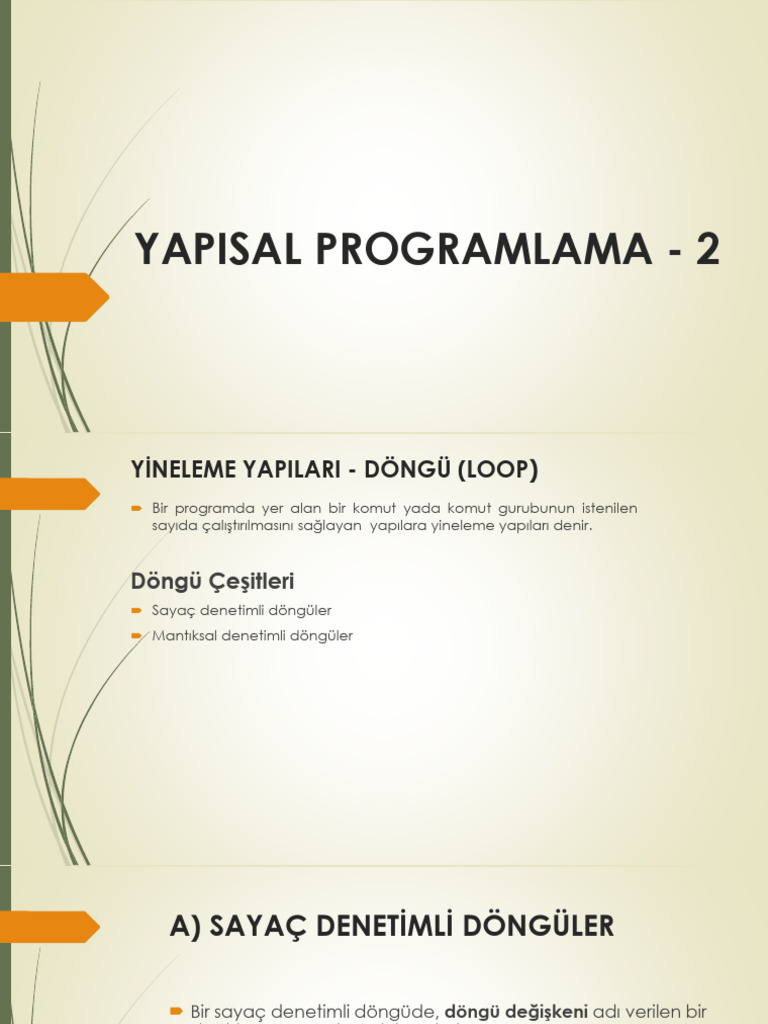 Yapısal Programlama 2 | PDF