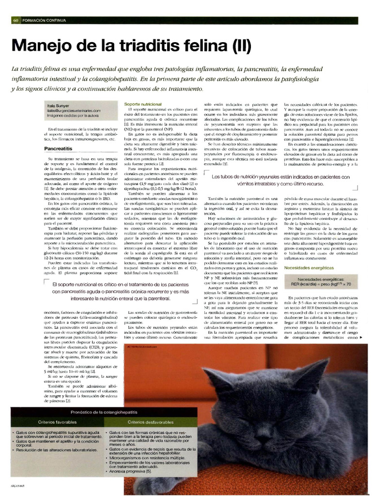 Sunyer 2015 Management of Feline Triaditis (Ii) | PDF