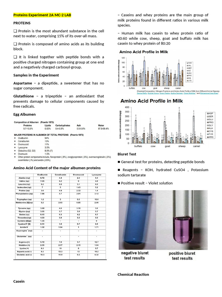 Protein Denaturation Experiment Reviewer | PDF | Enzyme | Denaturation (Biochemistry)