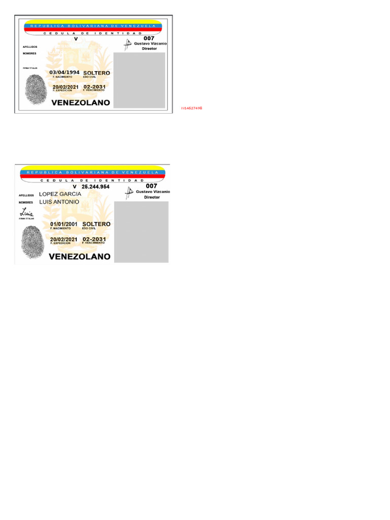 515781108-Formato-cedula-venezolana-2021489 | PDF