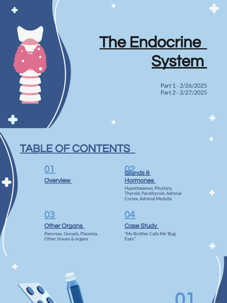 Copy of the Endocrine System | PDF | Endocrine System | Hormone