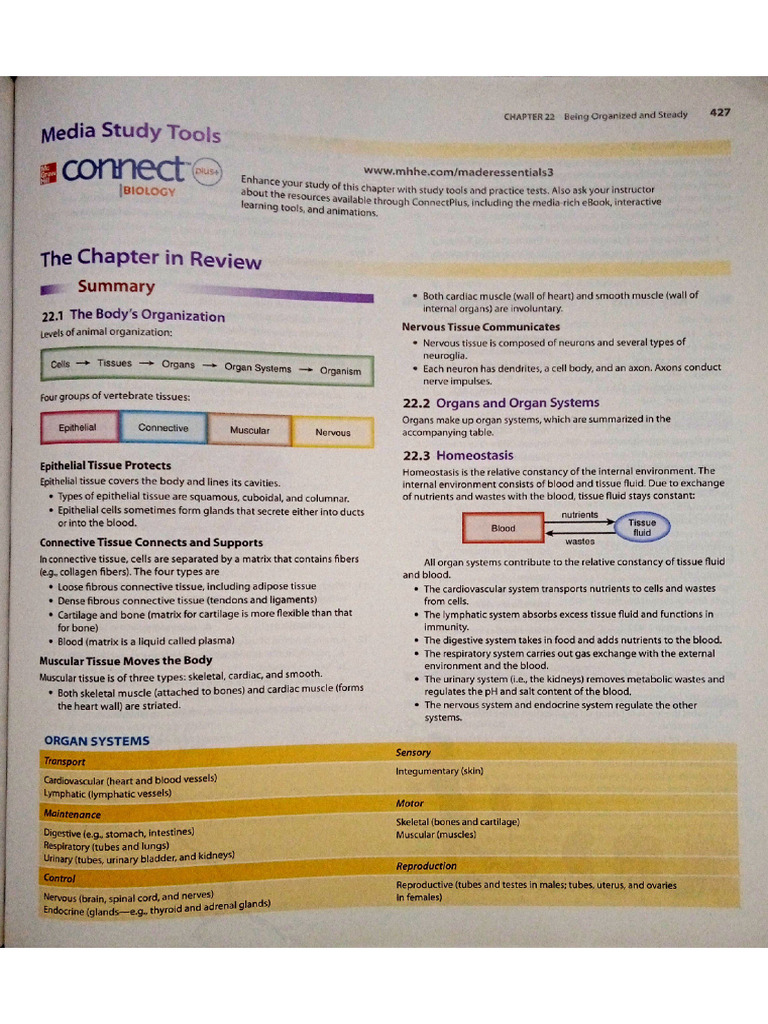 Animal Structures and Functions | PDF