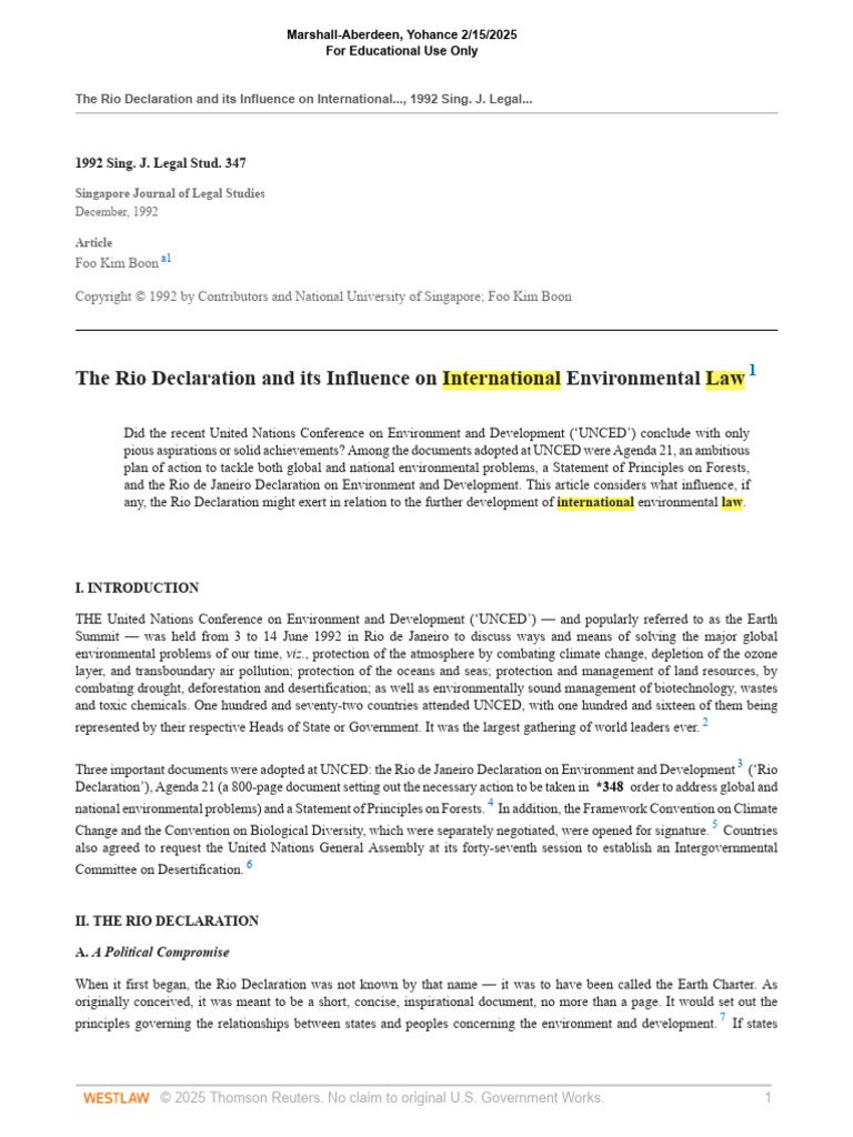 The Rio Declaration and Its Influence On International Environmental ...