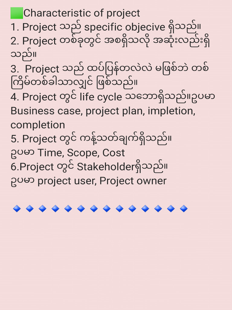 Project Management [SBR](2) | PDF