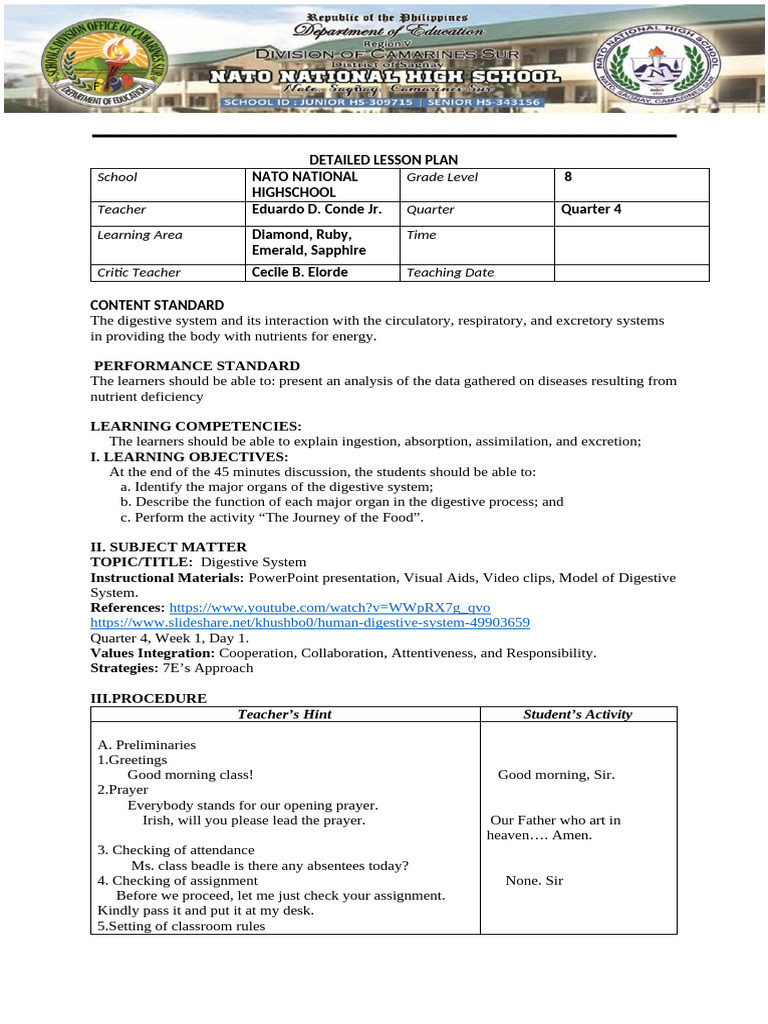 Digestive System Lesson Plan | PDF | Digestion | Human Digestive System