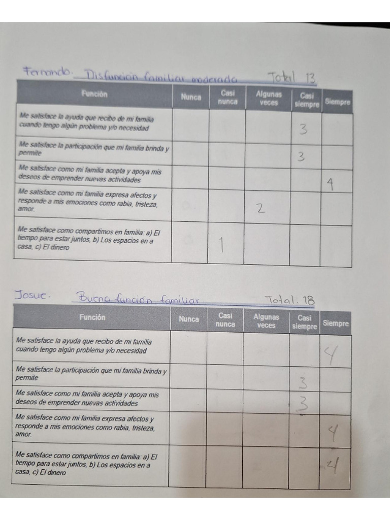 Apgar Familiar | PDF