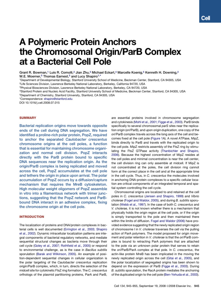 A Polymeric Protein Anchors the Chromosomal Origin | PDF | Proteins ...