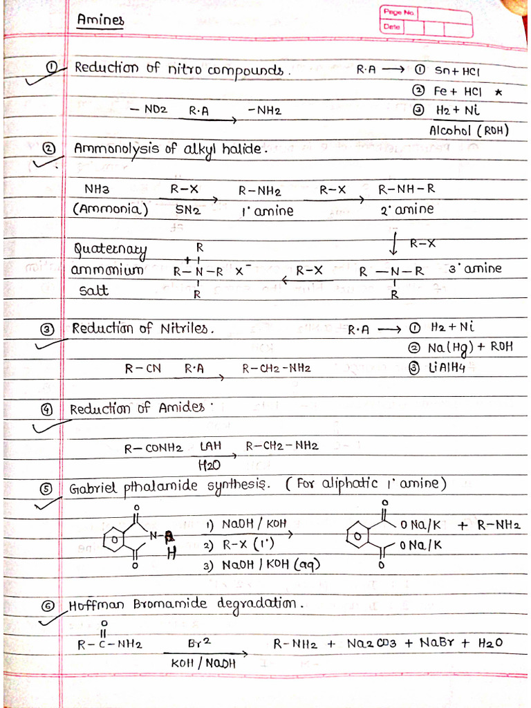 Chapter 9 Amines | PDF
