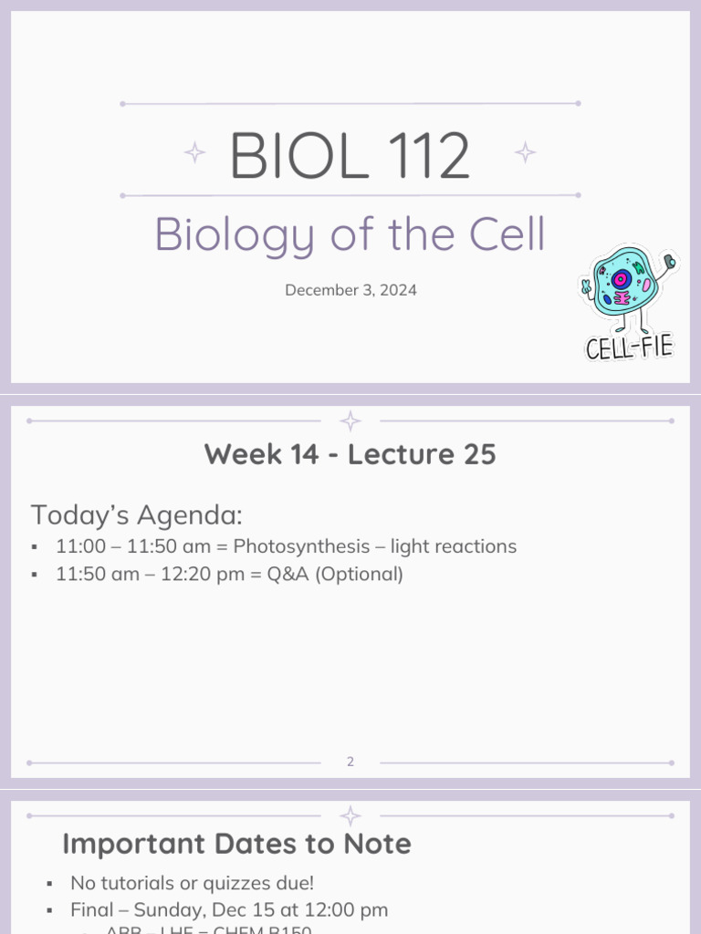 L25_Post-Class | PDF | Photosynthesis | Chloroplast
