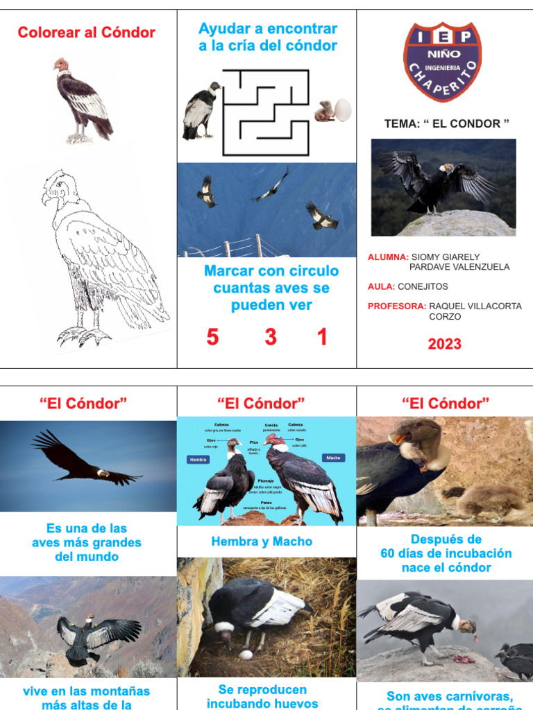 El Condor | PDF