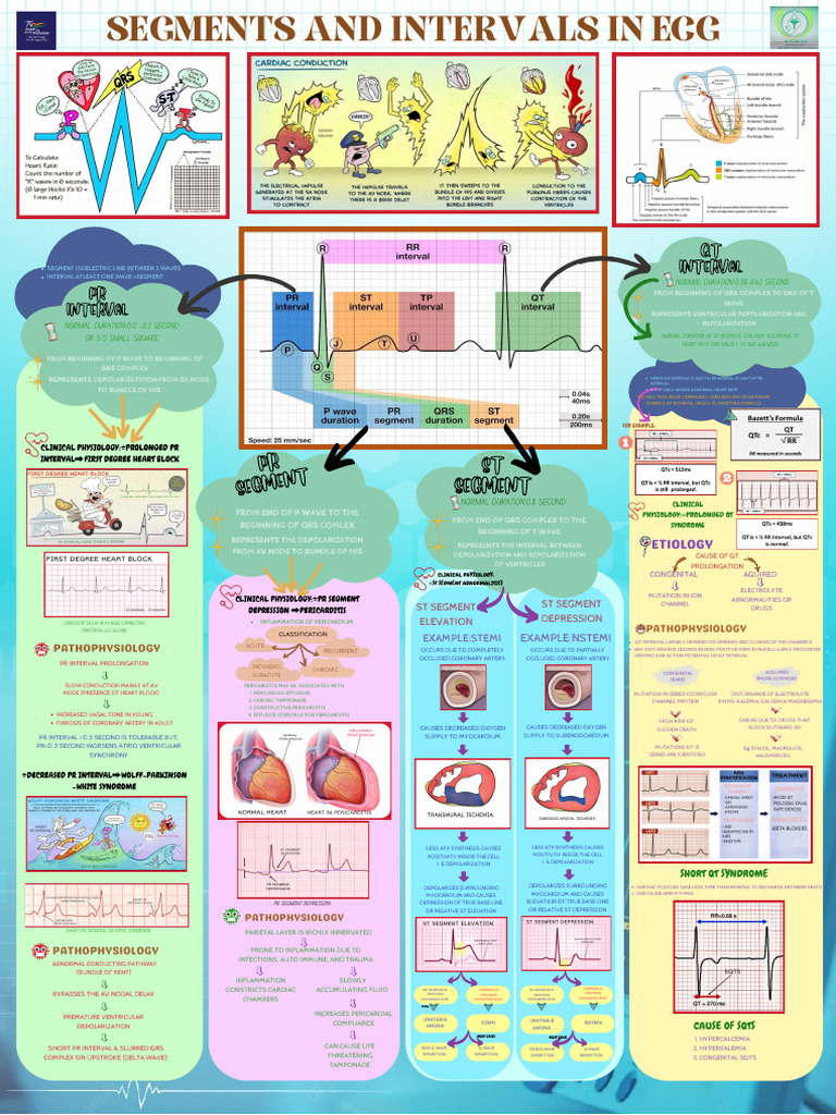 ECG Segments and Intervals Explained | PDF | Electrocardiography ...