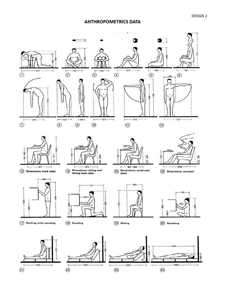 Anthropometrics Data | PDF