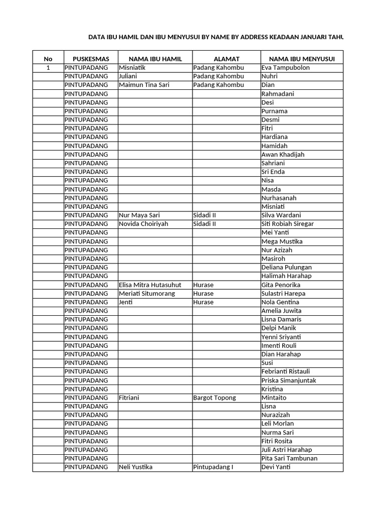 Data Ibu Hamil Dan Ibu Menyusui by Name by Address Puskesmas Pintupadang | PDF