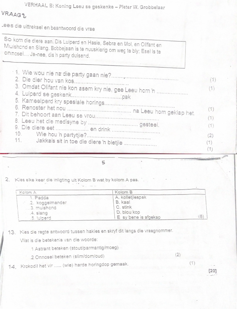 Koning Leeu Nov 2021 | PDF