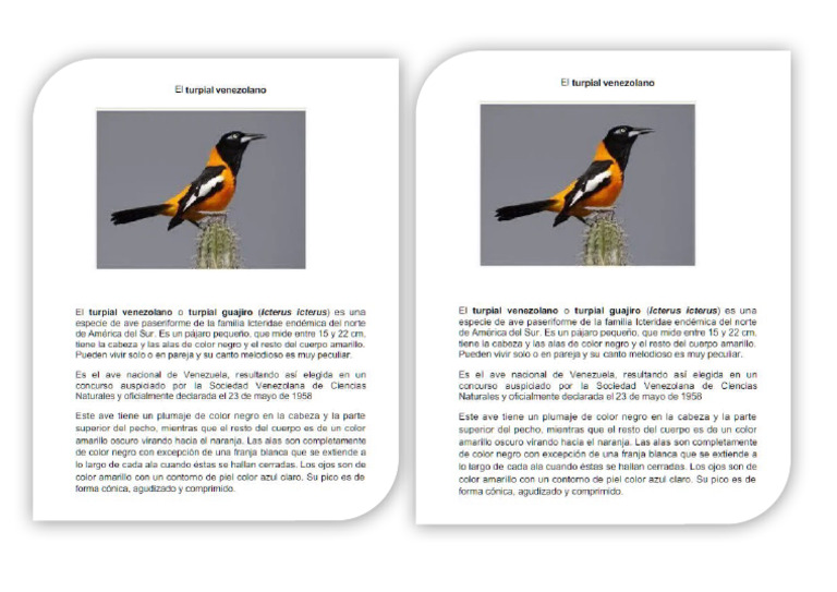 Lectura El Turpial | PDF