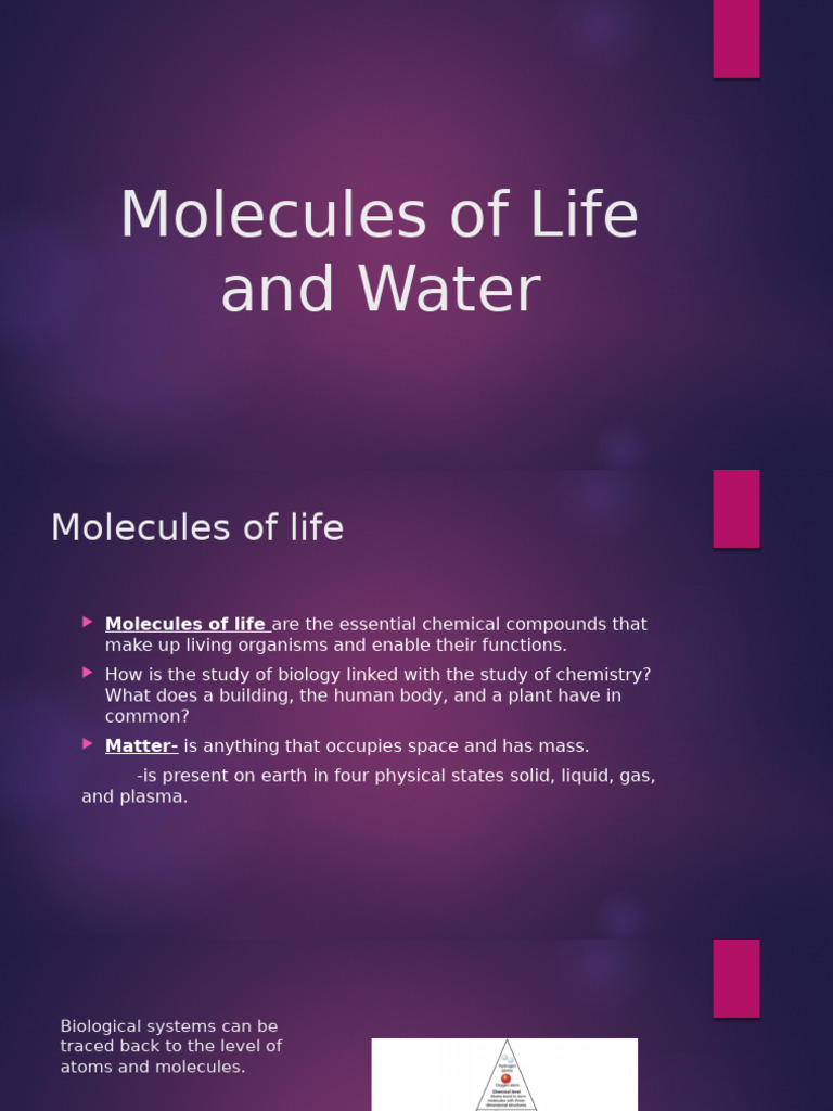 Molecules of Life and Water | PDF | Chemical Bond | Water