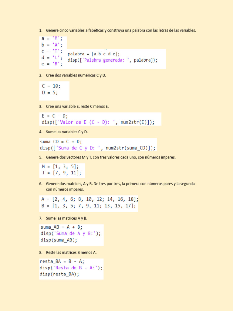 Operaciones con Variables y Matrices en Programación | PDF