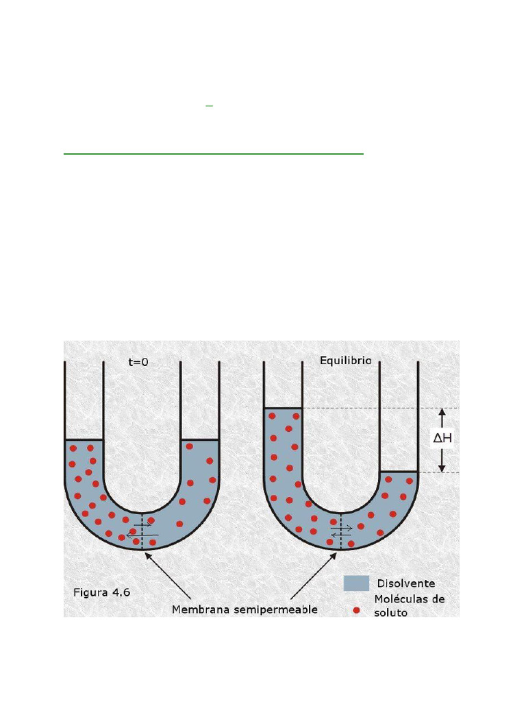 Prop Coligativas, Constante de Equilibrio (K) y Buffer Bicarbonato ...