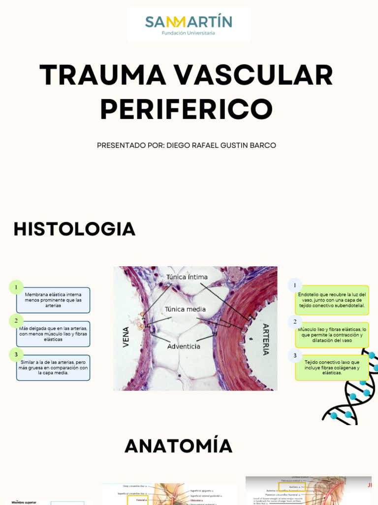 Trauma Vascular Periférico: Guía Completa | PDF | Artería | Isquemia