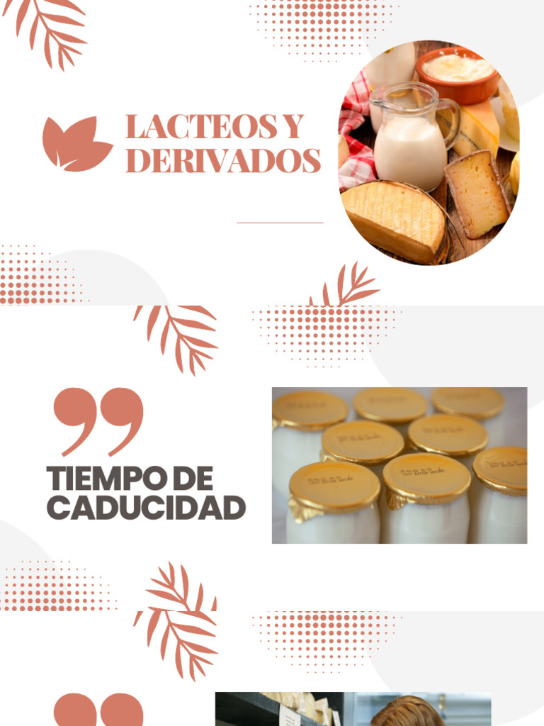 LACTEOS Y DERIVADOS | PDF