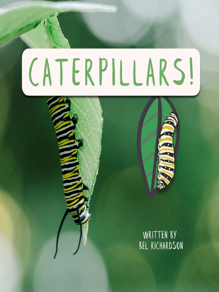 Caterpillars! | PDF