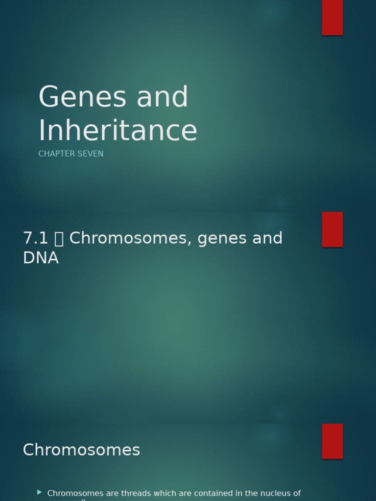 Genes and Inheritance | PDF | Chromosome | Fertilisation