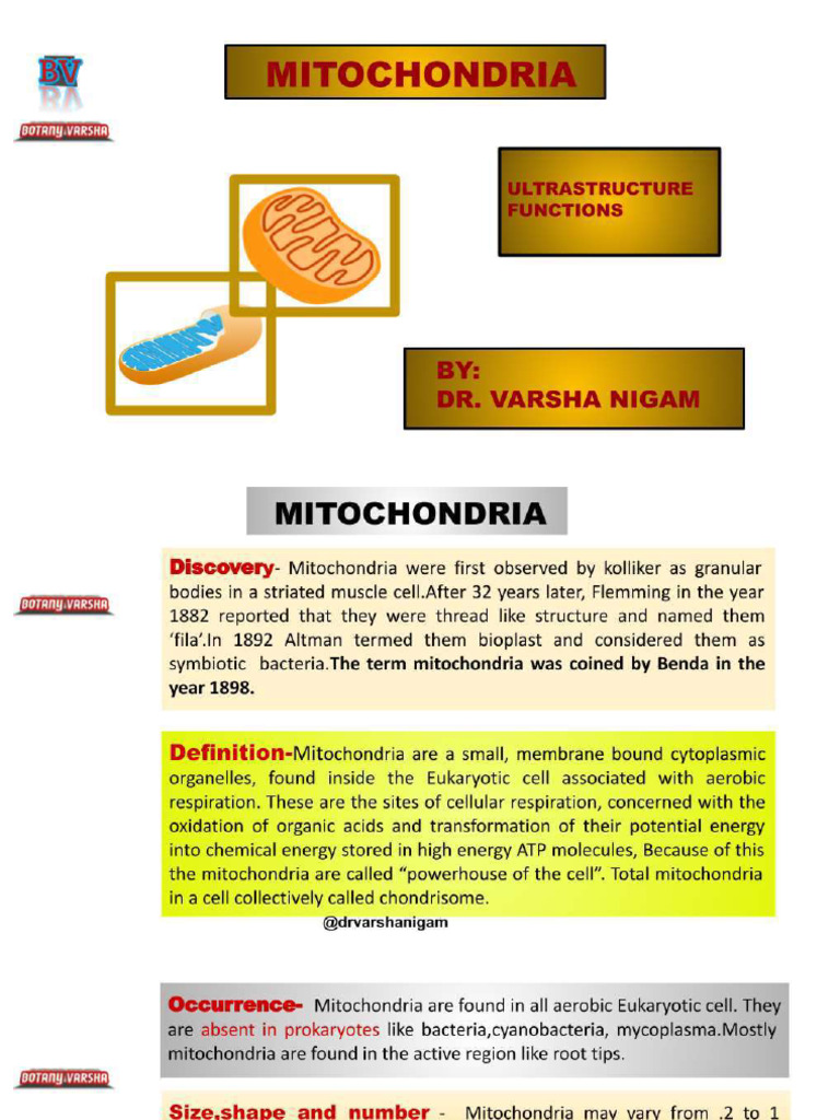 Mitochondria | PDF