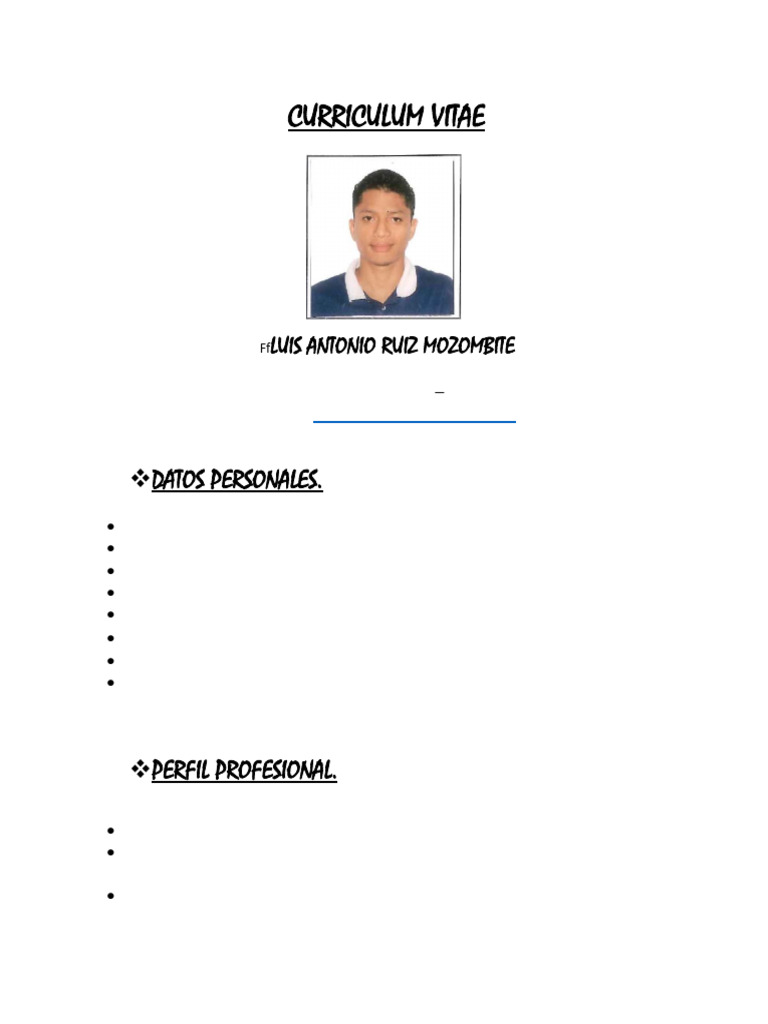 Modelo Curriculum Vitae | PDF