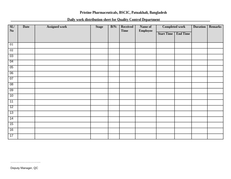 Daily Work Sheet | PDF