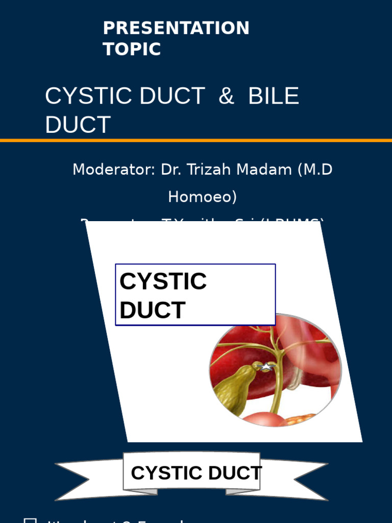 Cystic Duct Anatomy and Function | PDF | Gallbladder | Pancreas