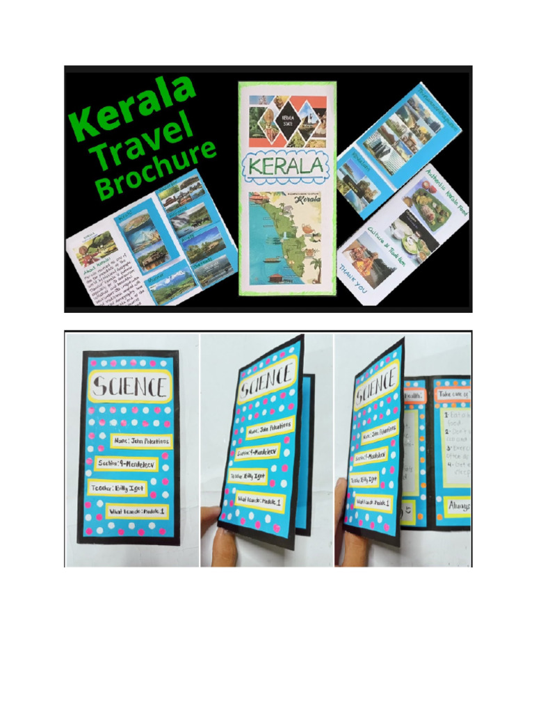 Language IA Project | PDF