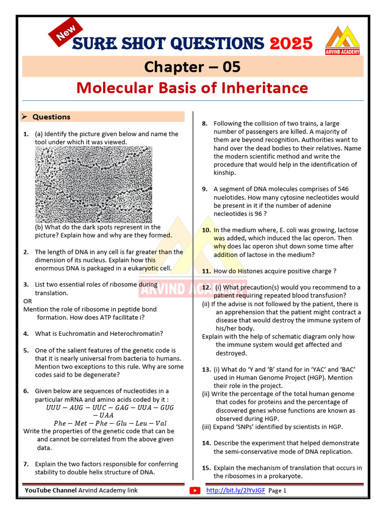 Question Chap 5 Molecular Basis of Inheritance | PDF | Dna | Gene