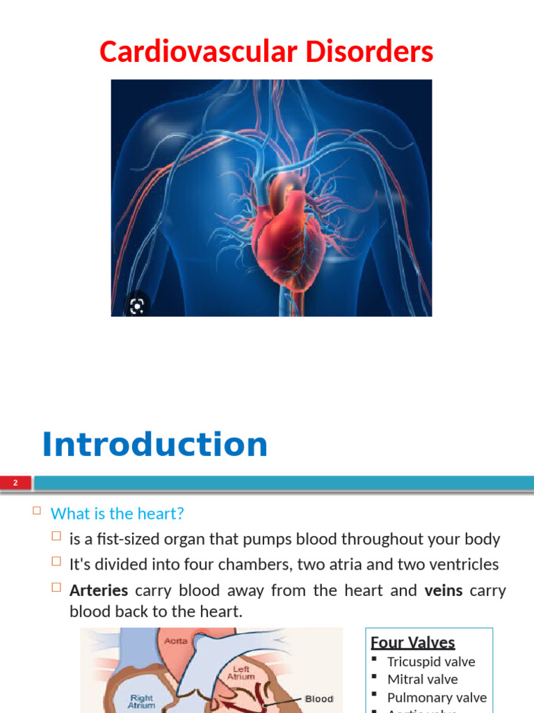 Introduction To Cardiovascular Disorders | PDF | Heart Valve | Heart