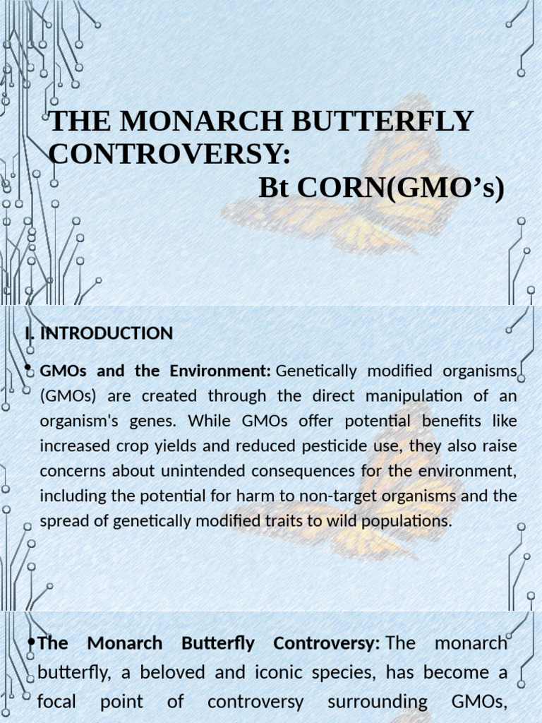 Monarch Butterflies and Bt Corn Impact | PDF | Genetically Modified ...