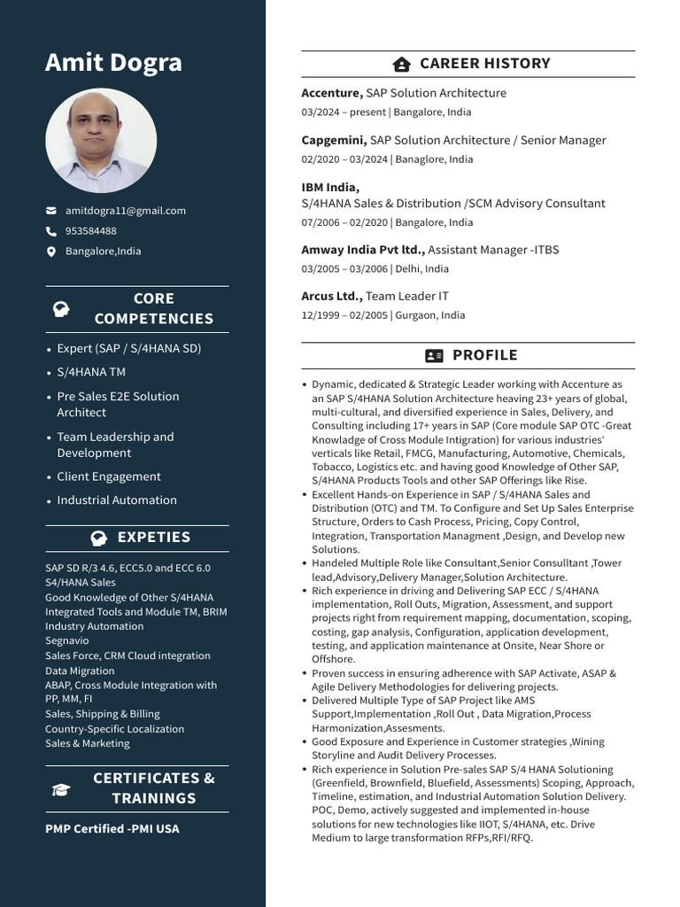 Amit-Dogra-CV Solution Architect SD | PDF | Business
