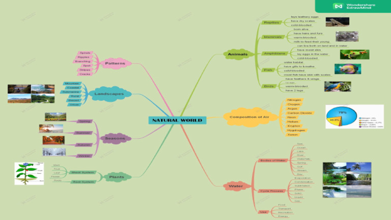 PD Natural World MIND MAPS | PDF