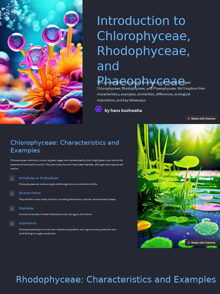 Introduction to Chlorophyceae Rhodophyceae and Phaeophyceae | PDF ...