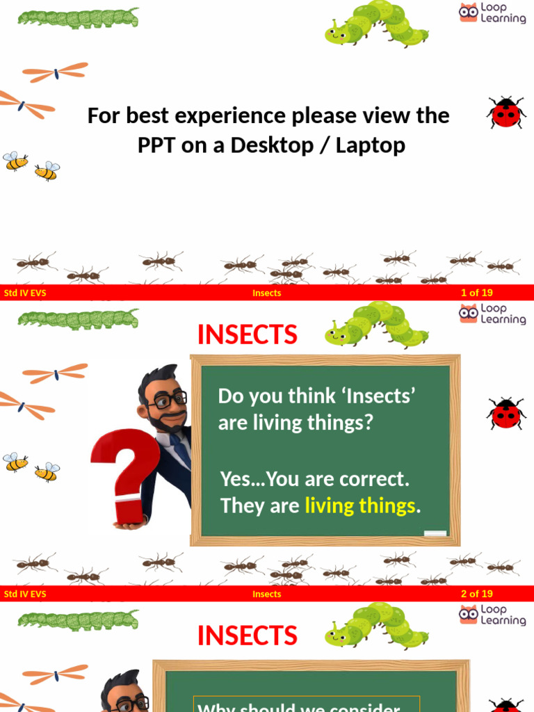 1724300398909.entry - Task - A1 - PA1.1 - OE - Insects - CH 4 - EVS - IV - CB | PDF | Insects ...