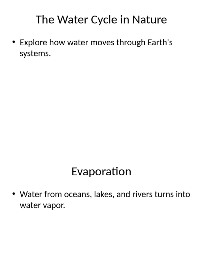 The Water Cycle in Nature | PDF