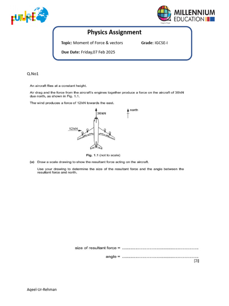 IGCSE-I Physics Assignment | PDF | Force | Weight